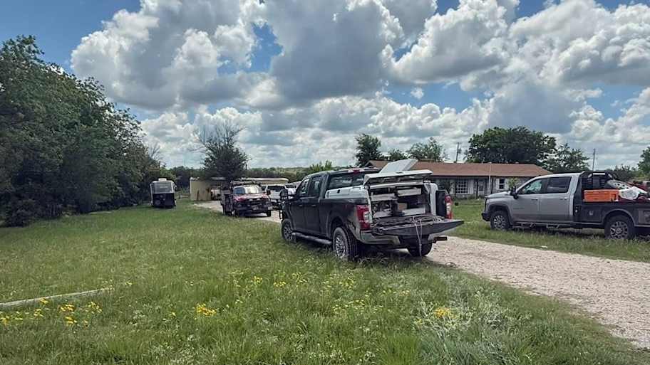 Sudden and Deadly Bee Swarm Inflicts Lethal Fate to Three Treasured ...