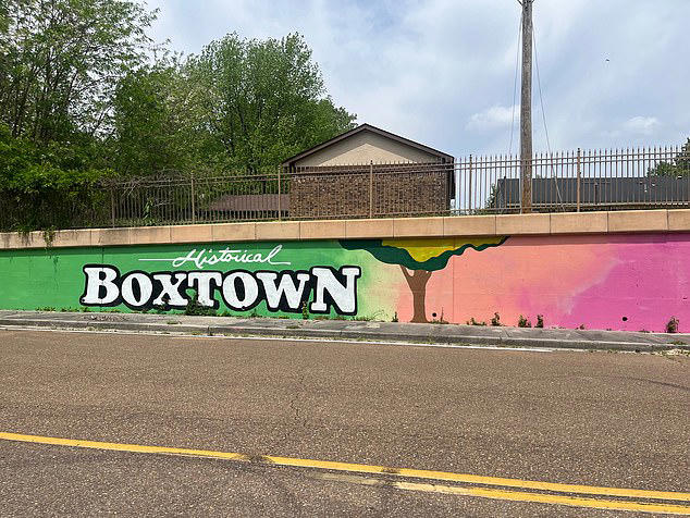 Look inside idyllic town being plagued by cancer and asthma... and the ...