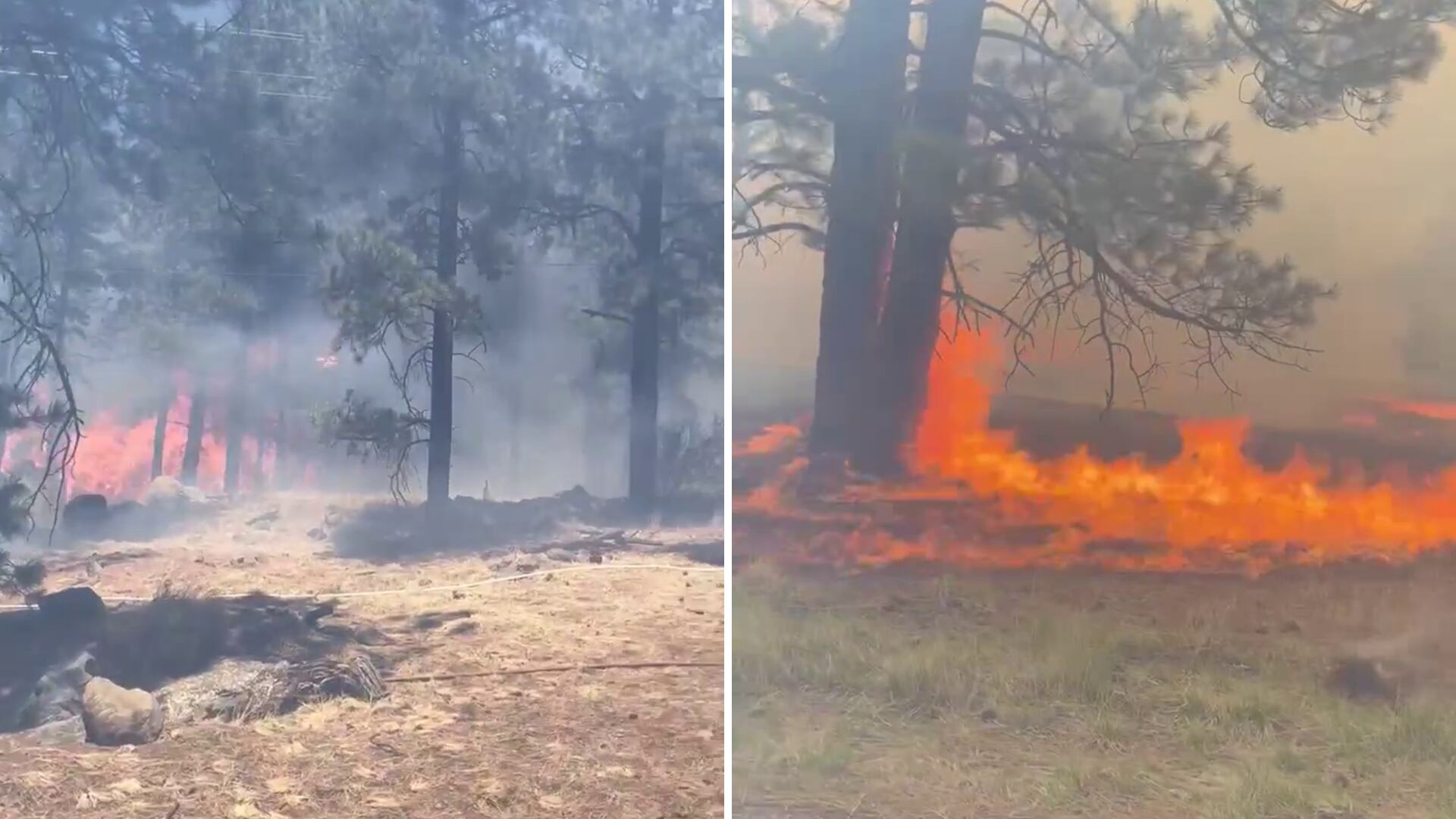 Greer Fire grows to 6,400 acres in Apache County; several structures ...