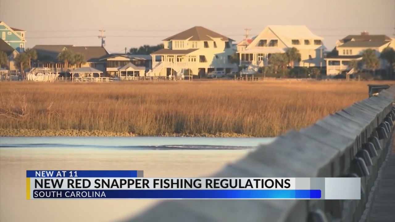 New South Carolina law allows recreational red snapper-grouper species ...