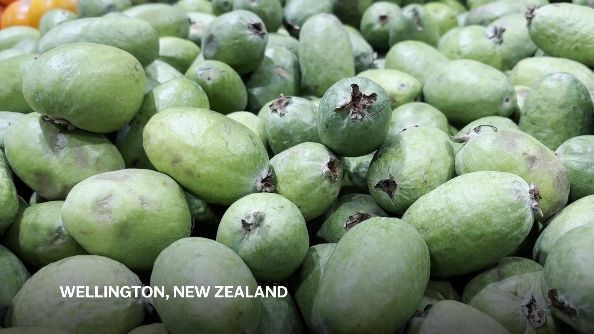New Zealand's unofficial fruit is the feijoa, not the kiwi, and part of ...