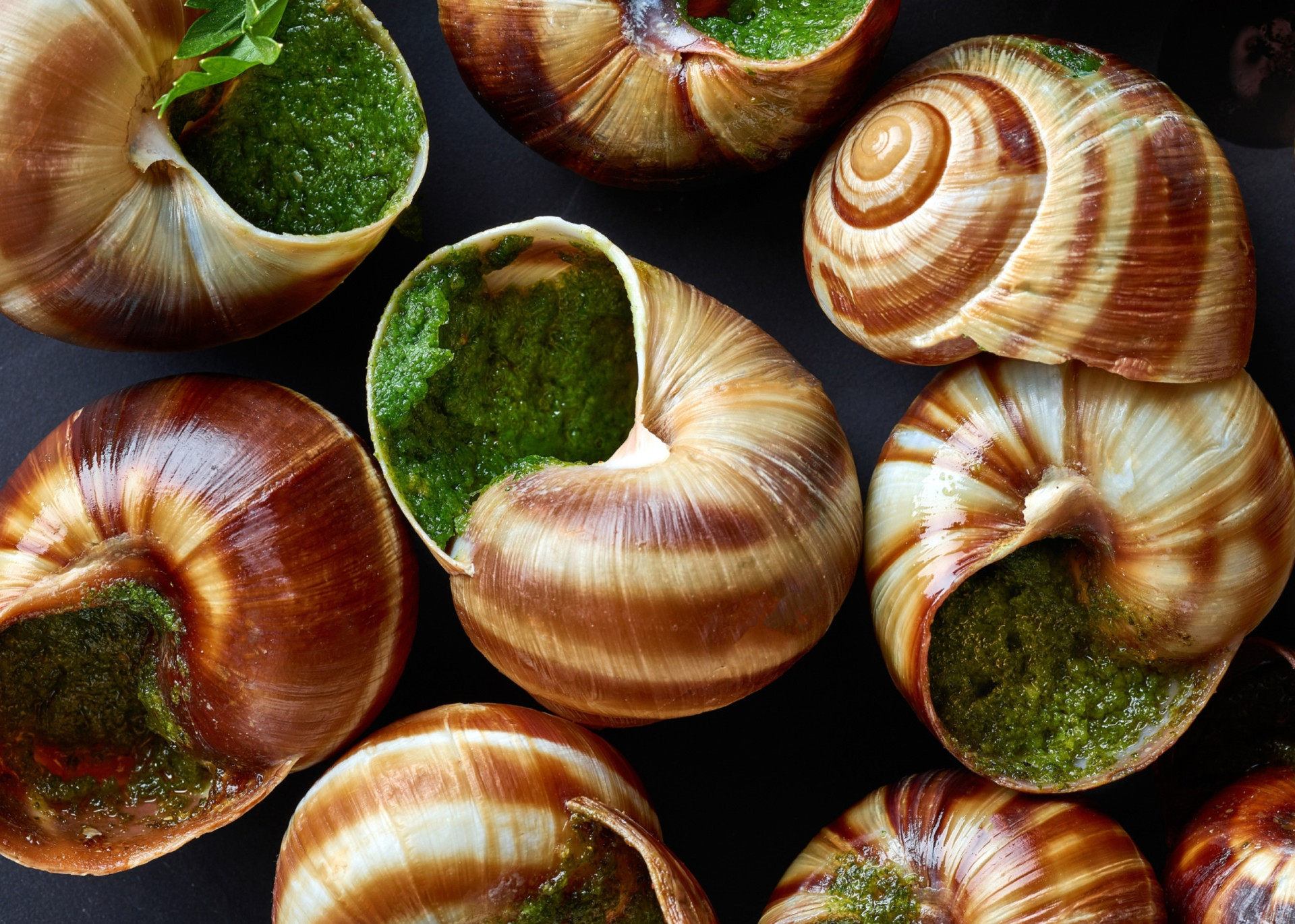 Hvordan ble snegler en del av matkulturen?