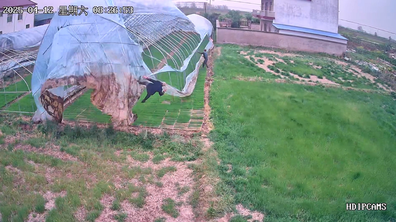 Greenhouse torn off by strong wind despite farmers’ efforts in Anhui, China