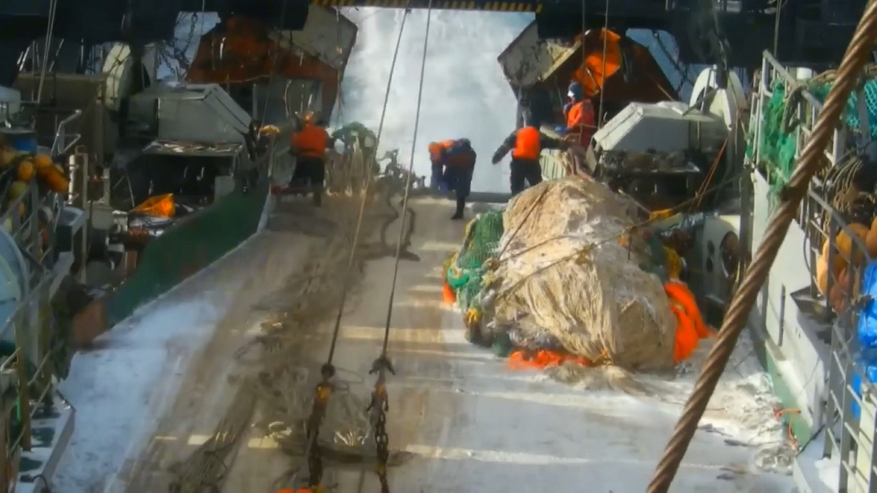 Crew member falls into sea during fishing operation in Sea of Okhotsk ...