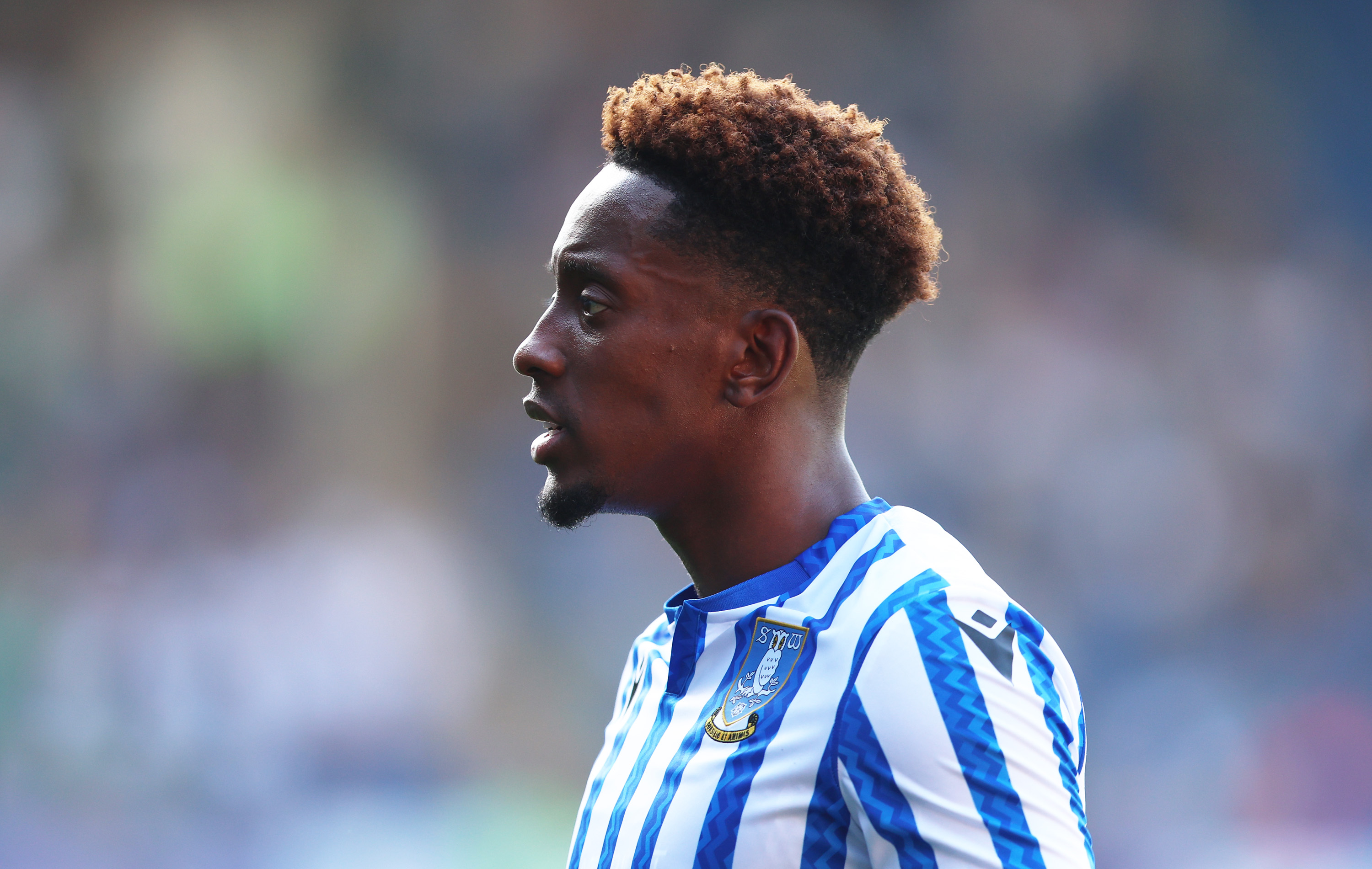 Jamal Lowe breaks silence on 'unstable' Sheffield Wednesday crisis ...
