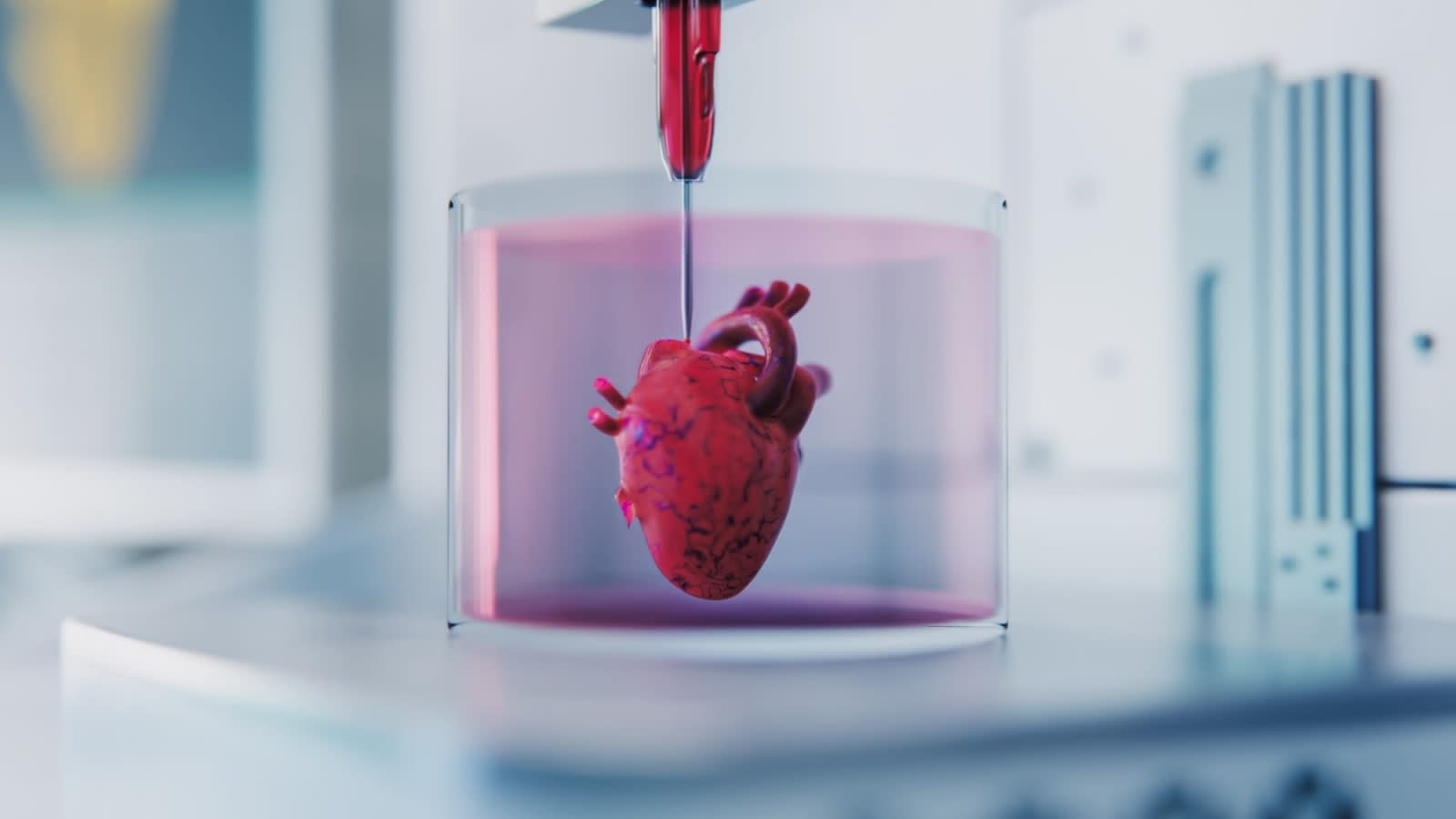 Scientists create 4D bioprinted tissue that changes shape just like real tissues do