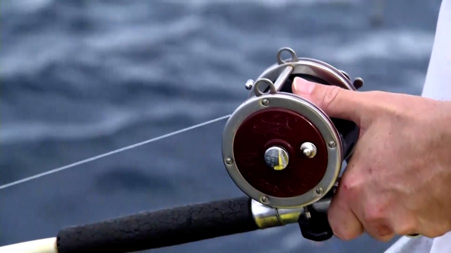 McMaster, 2 others ask U.S. Commerce secretary to allow states to ...