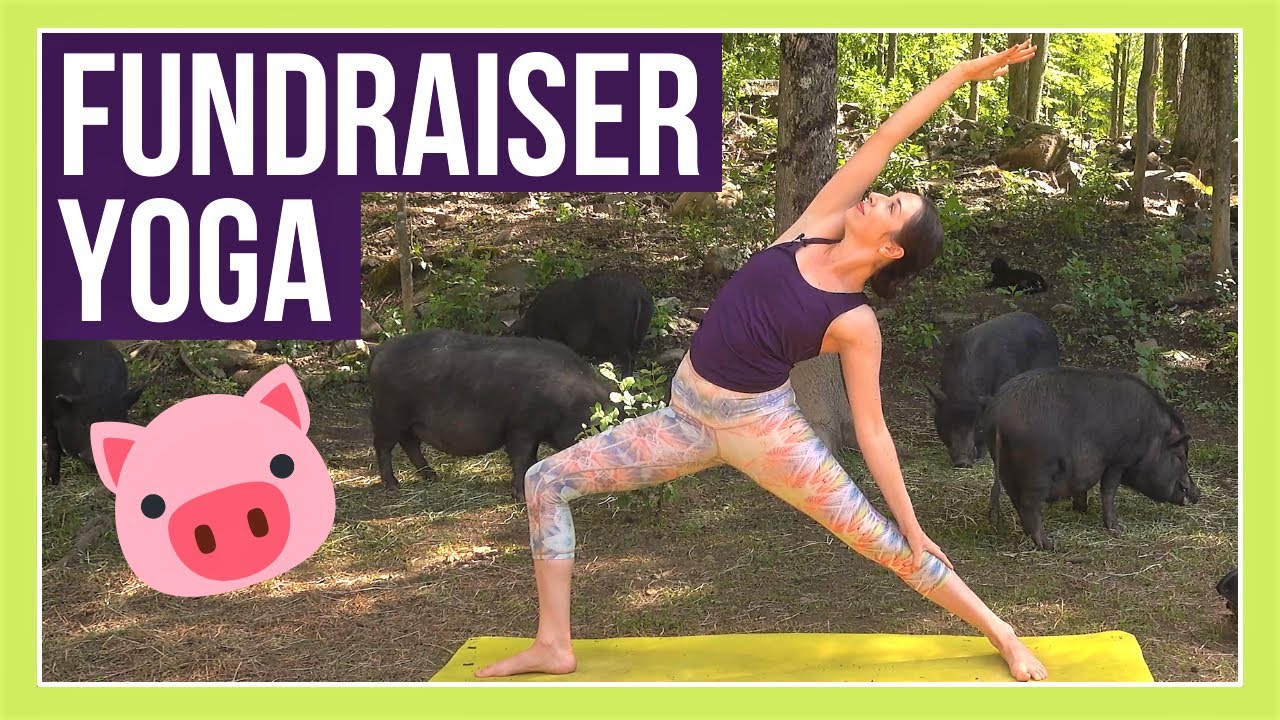 Full Body Yoga Flow 🐷 | Animal Sanctuary Fundraiser | Move with Purpose ...