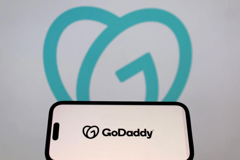 GoDaddy recovers from huge loss as revenue jumps