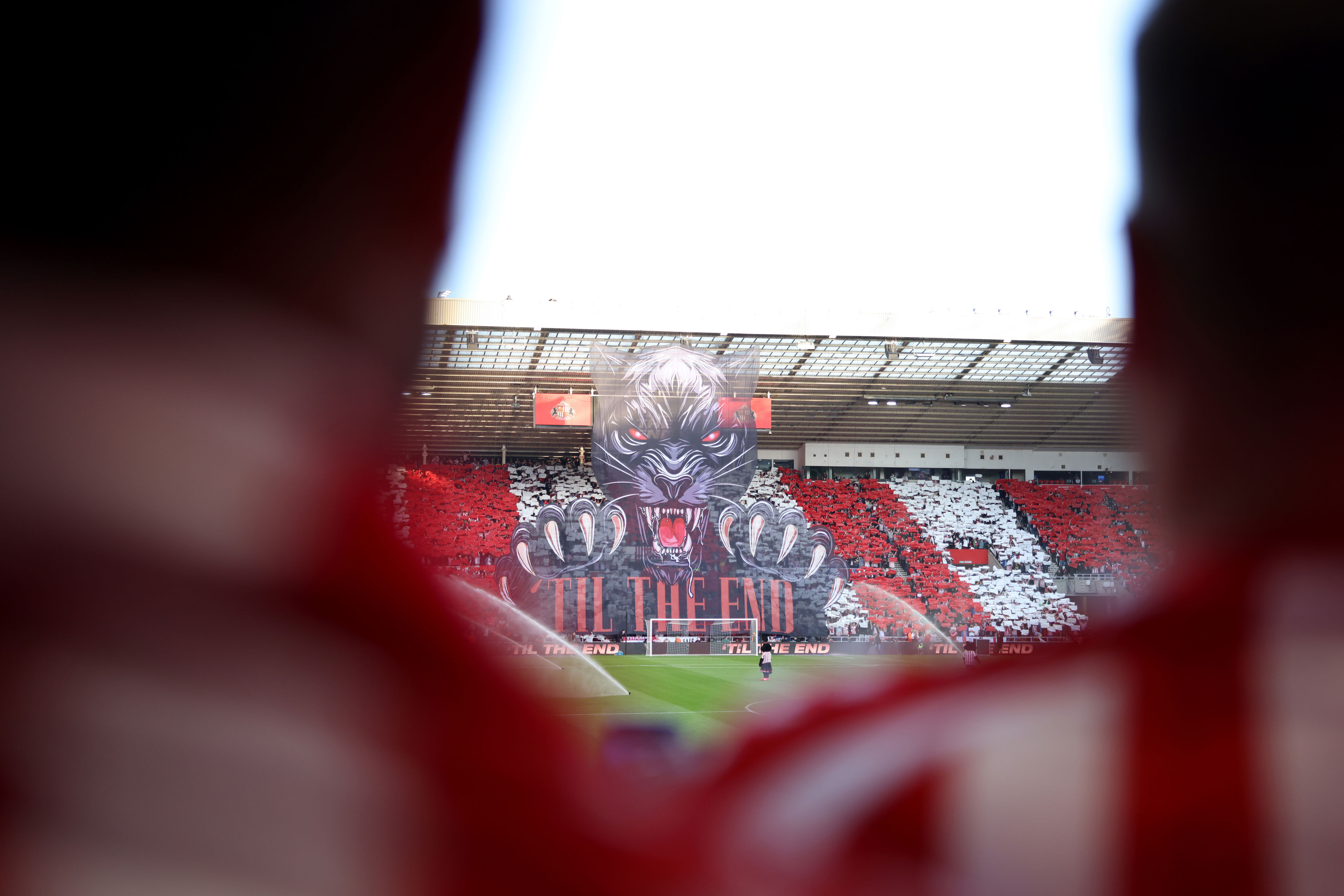 Dramatic Sunderland clash sees impressive Sheffield Wednesday record ...