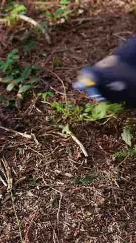 This Thai Green Curry Hits Different After a Full Day on Trail