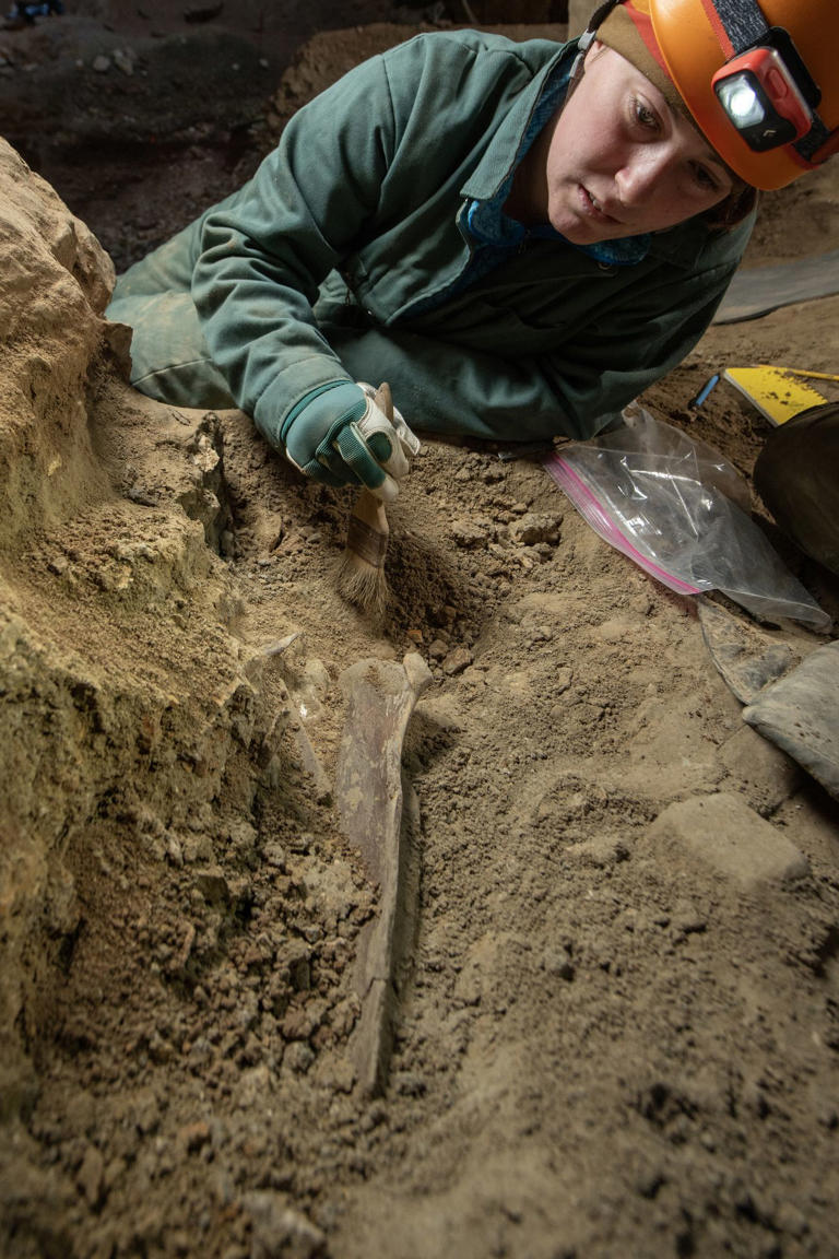 A Trove of Ice Age Fossils Buried in a Wyoming Cave Is Rewriting Our ...