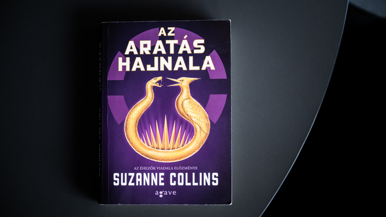 A mutáns mókusok csontig lerágták a kiskamasz húsát