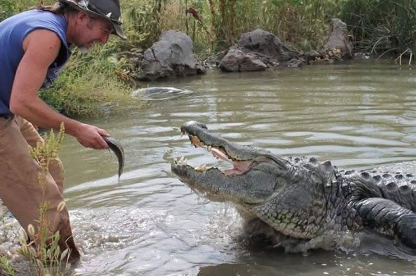 World's most famous alligator dies at 80 after starring with Adam ...