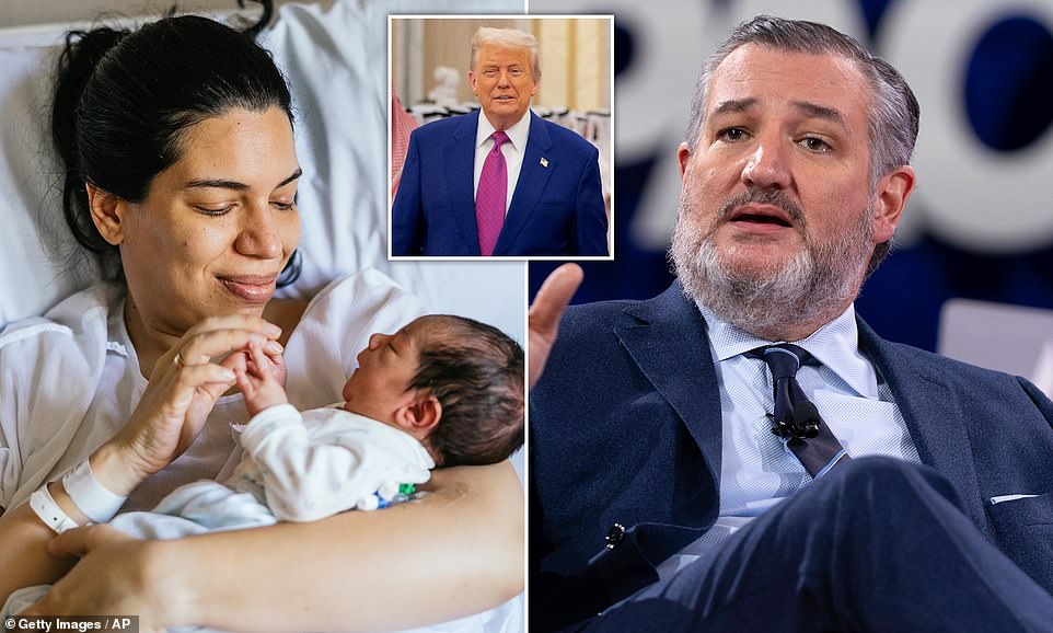 Brainchild behind $1000-per-baby MAGA tax credit revealed