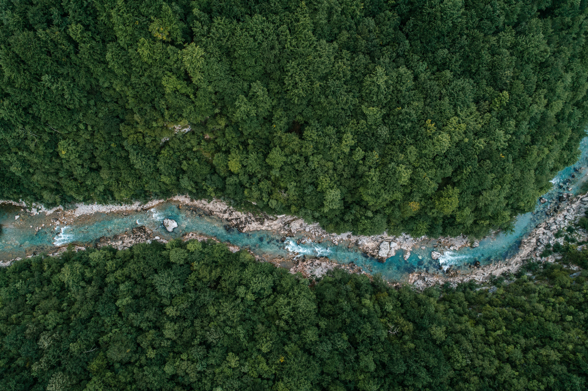 No river, no airport, no farms: Largest countries without essential ...