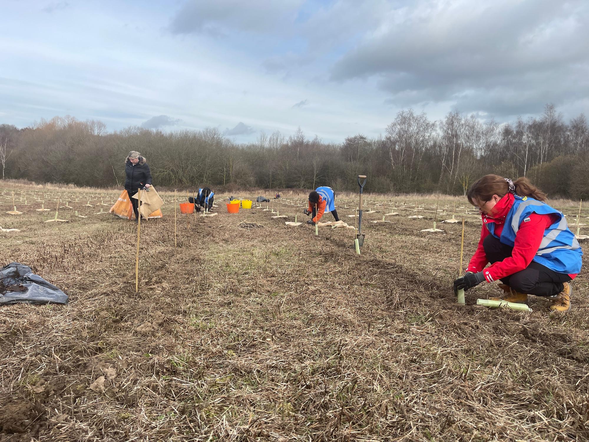 Amazon Wakefield team supports tree-planting project