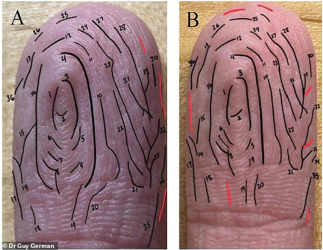 Scientists reveal the real reason why your fingers wrinkle when you ...