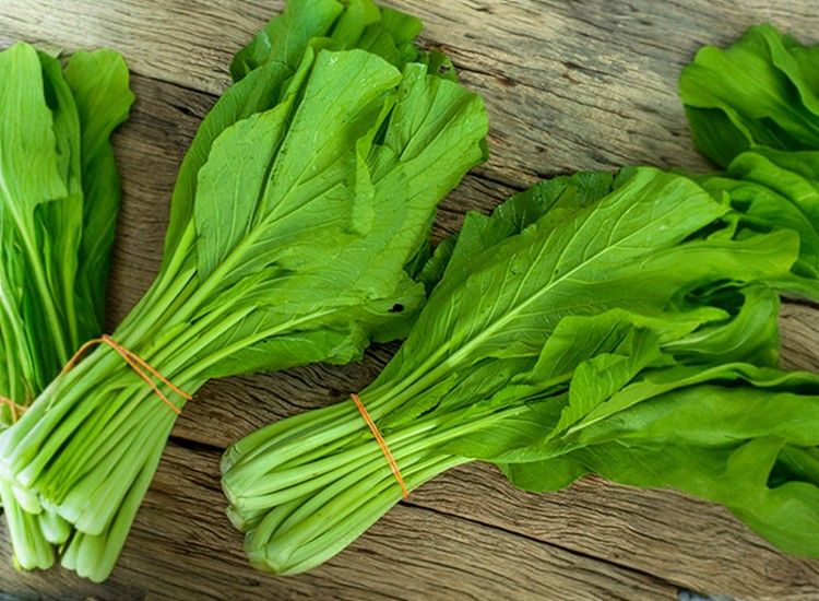 Cara Menanam Sawi Caisim Sendiri di Rumah, Cuma Perlu Media Tanam Ini