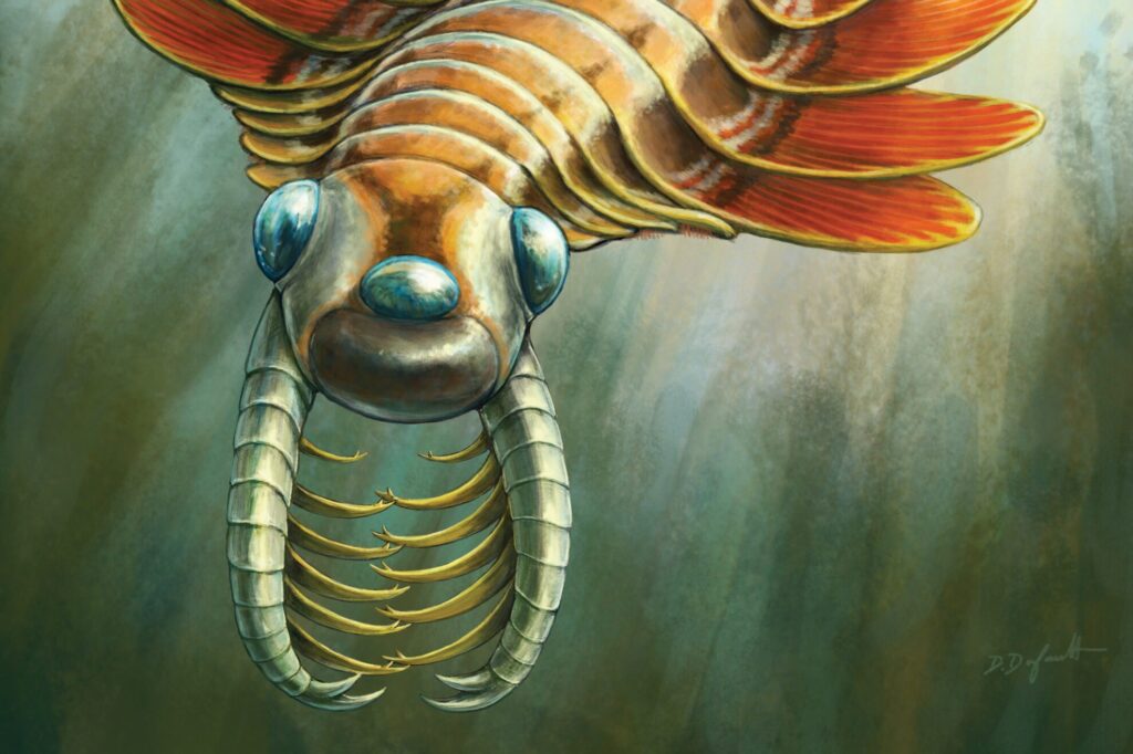 Newly identified three-eyed ‘sea-moth’ predator lived 506 million years ago