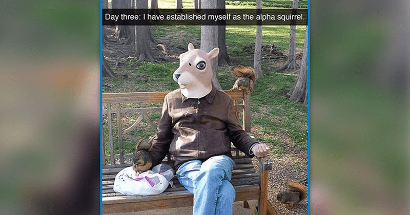 25 Silly Animal Memes and Snaps to Help Start Your Day off with a ...