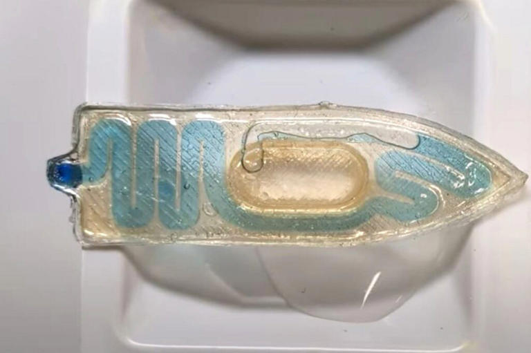 Researchers develop edible robot designed to be eaten after use