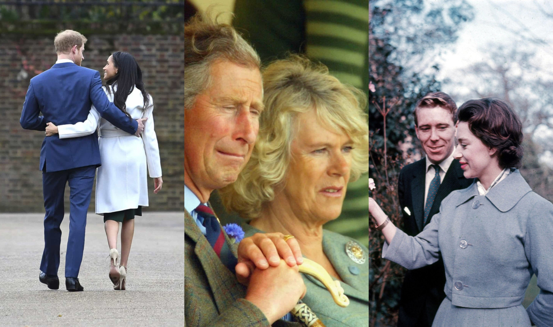 Some Interesting Junkyard Finds at Collins Auto Salvage in Auburn, Georgia