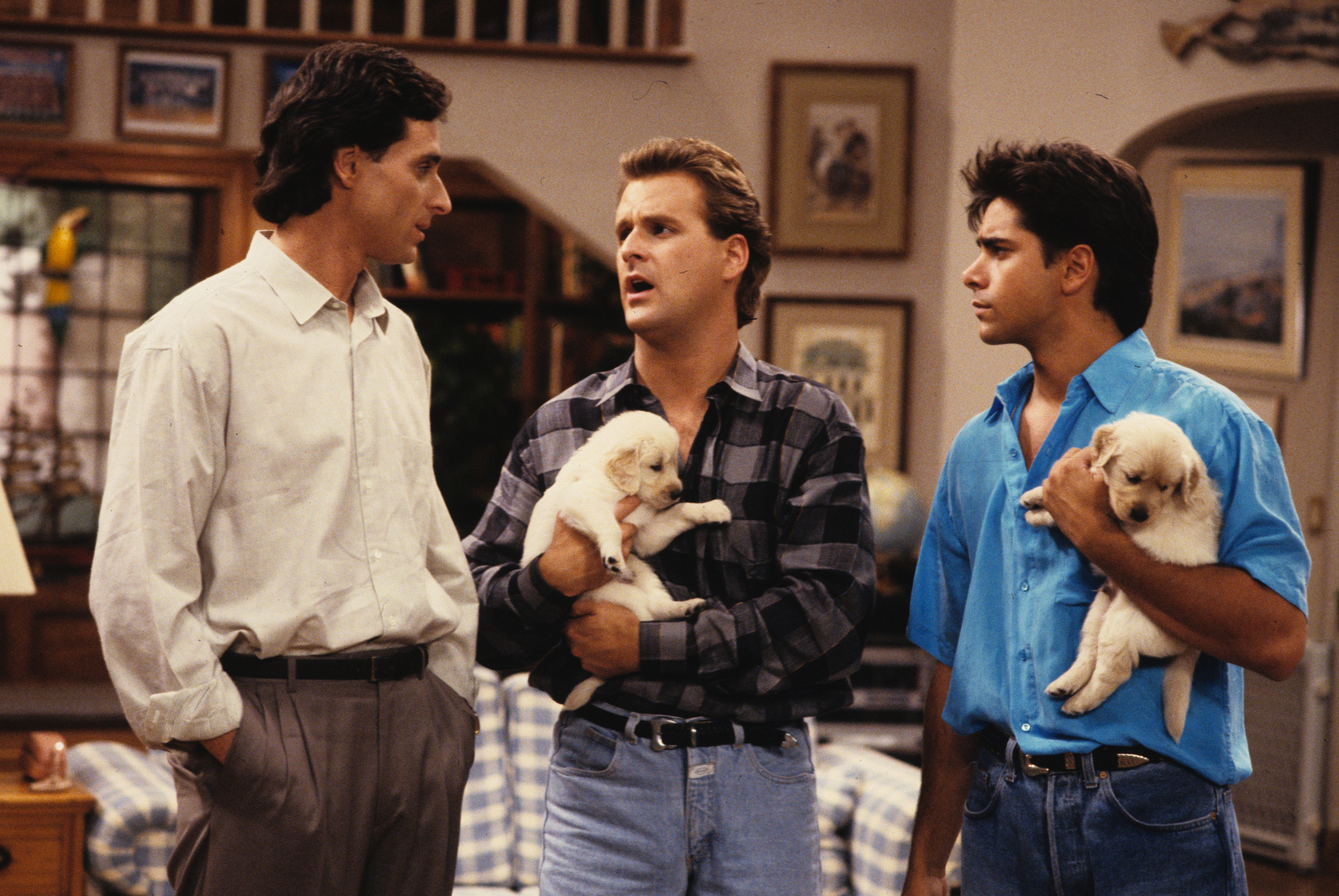 The 20 most famous dogs in television history