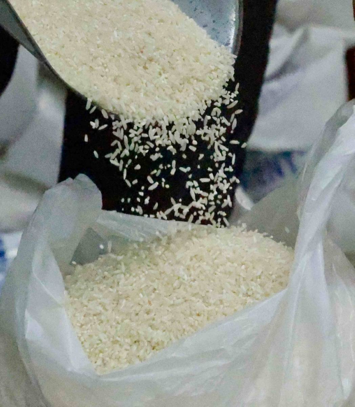 P20 rice to reach more Kadiwa centers