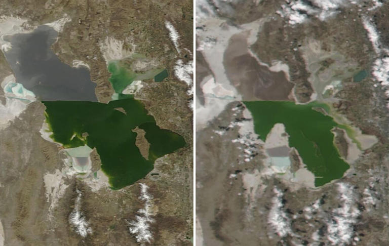 Collapsing Great Salt Lake could take Utah’s economy down with it