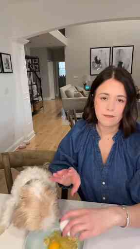 Make Dog-Friendly Banana Bread with Stella