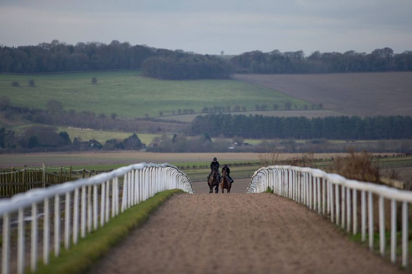 Aspiring jockey found dead at racing yard as he becomes third tragedy ...