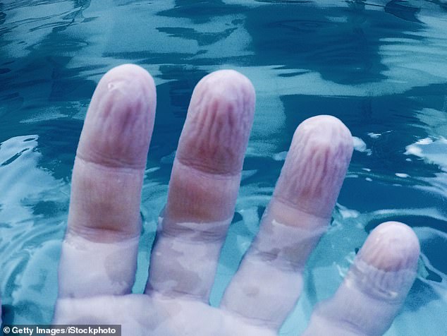 Scientists reveal the real reason why your fingers wrinkle when you ...
