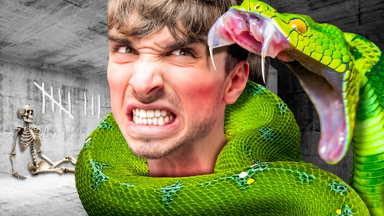 What if humans became the only food for giant snakes?