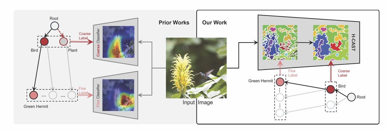 Computer vision identifies images with a classification tree, including ...