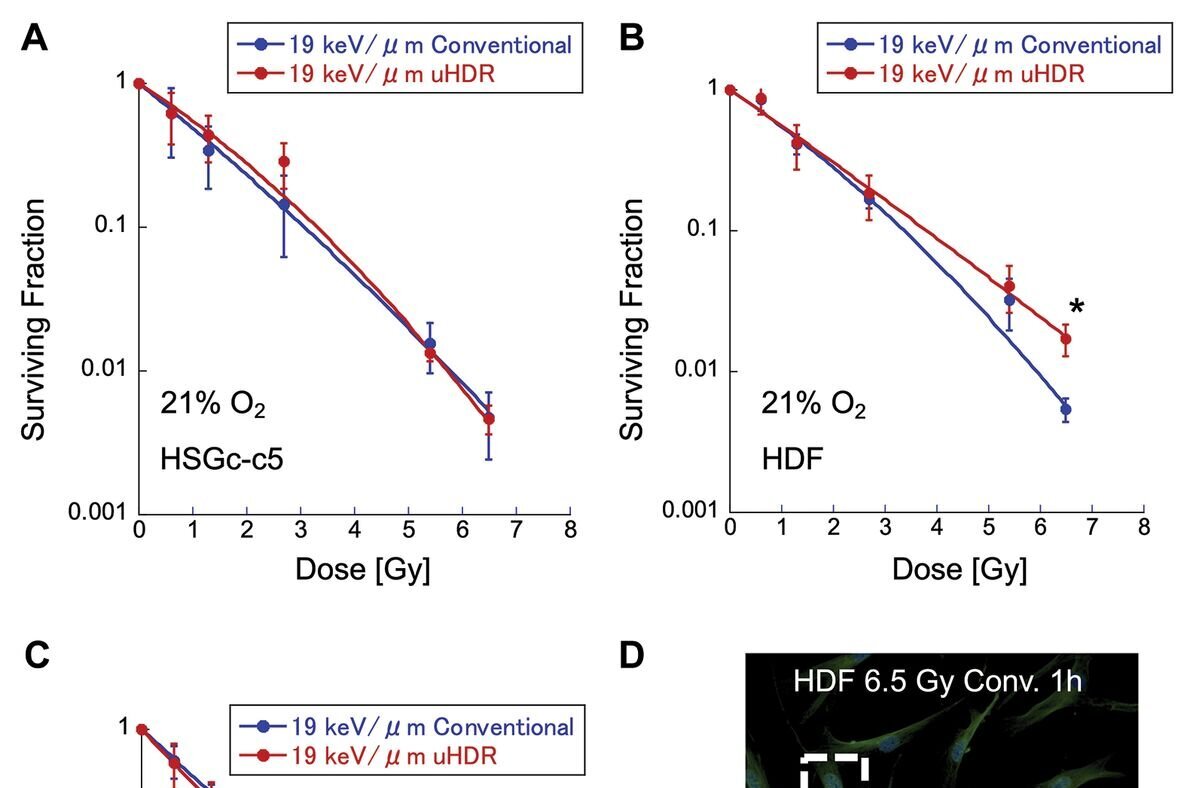 How ultrahigh-dose-rate irradiation can protect normal cells in cancer ...