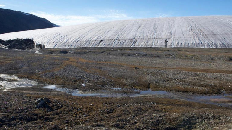 Umbro owner in joint bid for Le Coq Sportif