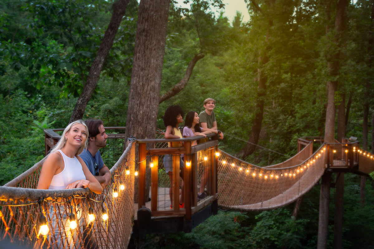 Gatlinburg, TN: A Top Southern Destination for Active Travel