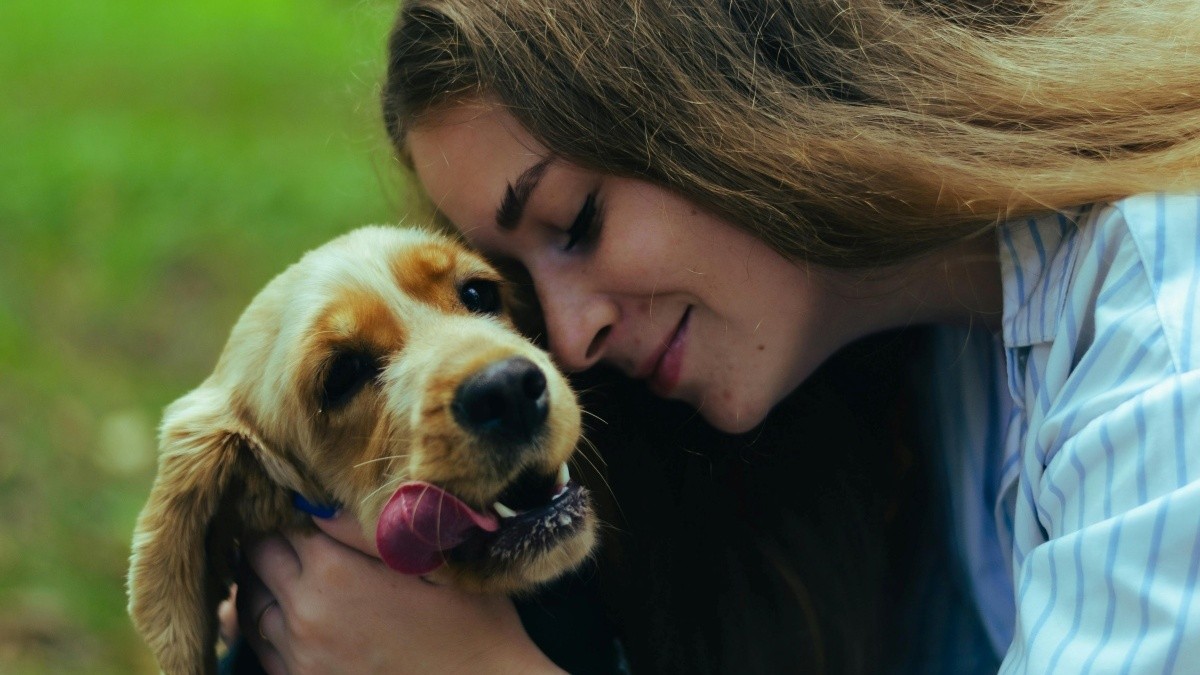 Is Your Dog Truly Happy? Here Are 12 Signs to Look For