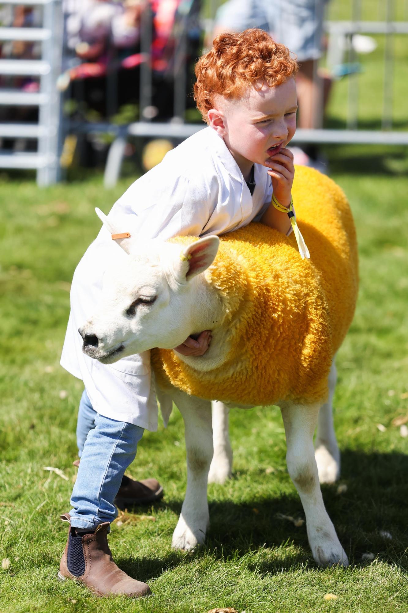 PICTURES Balmoral Show 2025: Thousands pour into 156th Balmoral Show with four days of sunshine ...