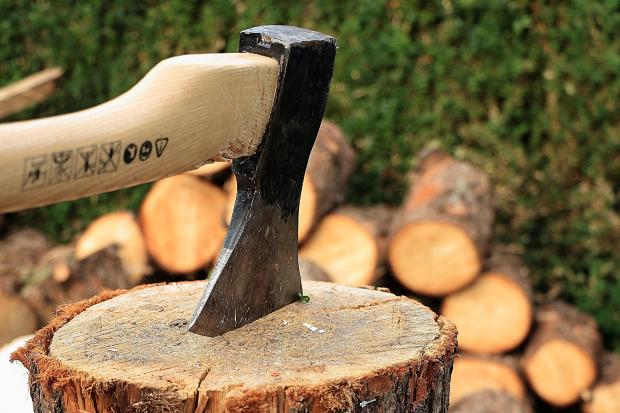 Temporary closure of rural road expected for ash dieback works