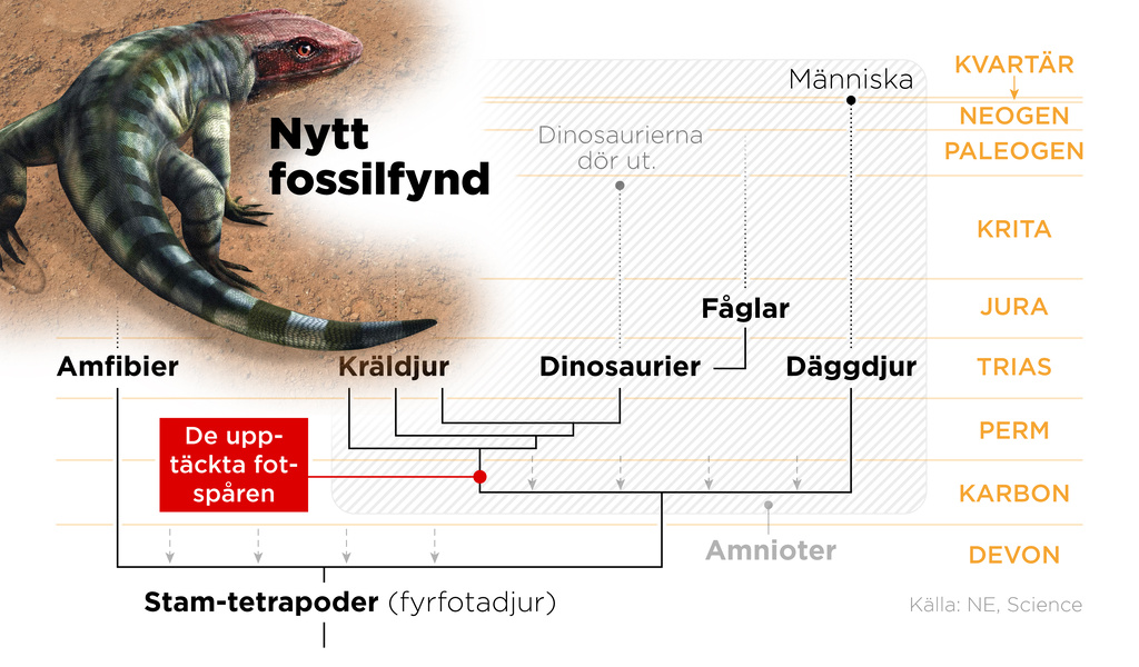 Rekordgamla kloavtryck av "urtidsödla"