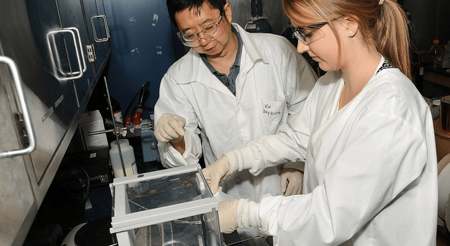 Prime Medicine stock plummets amid restructuring and leadership changes