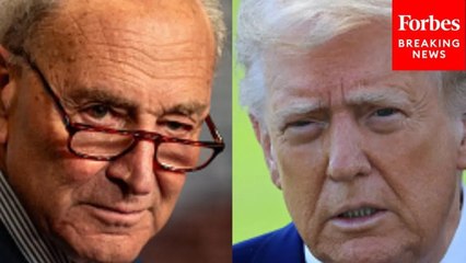 Trump Says 'Schumer Has Become A Palestinian' In Response To Dem Leader ...
