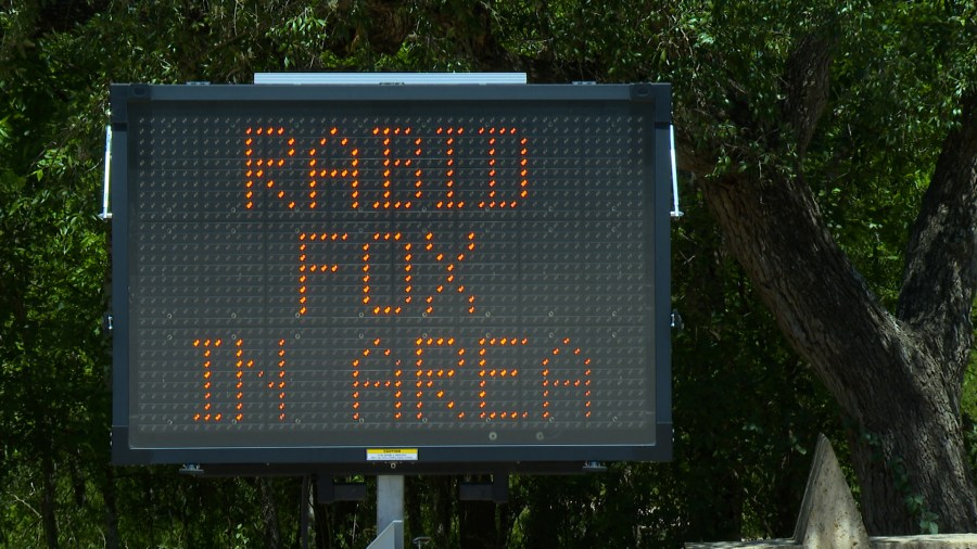 Likely ‘rabid’ fox bites Texas hiker 6 times in rare attack