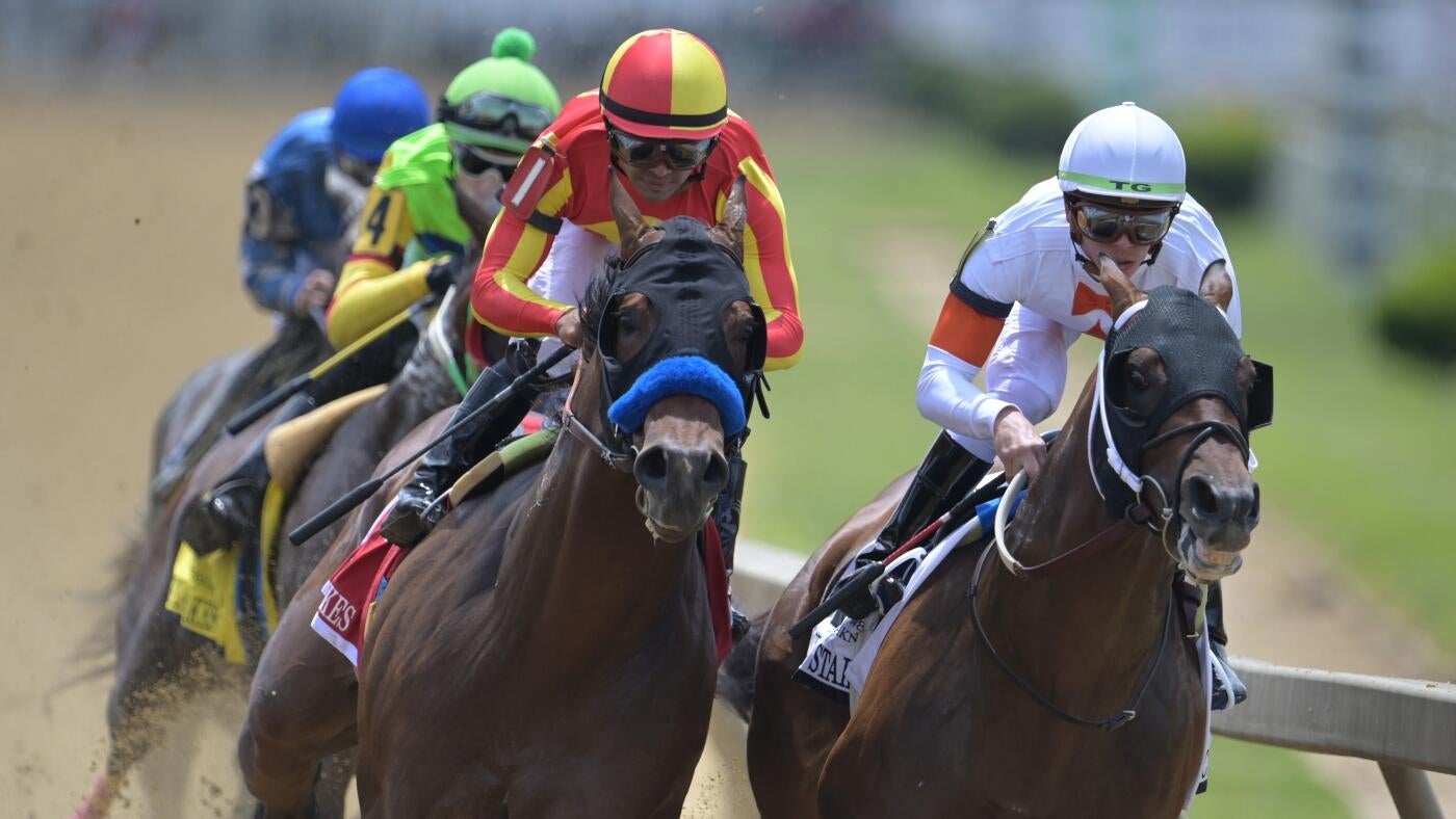 Preakness Stakes 2025 picks, odds: Journalism, Sovereignty, Clever ...