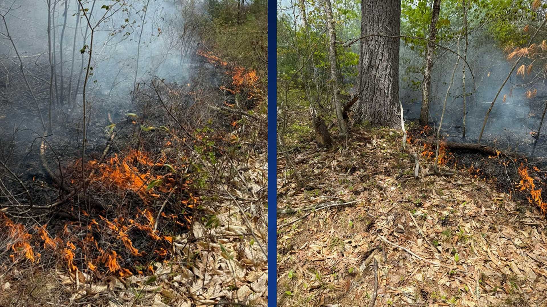 High fire danger across entire state of Maine, Forest Service says