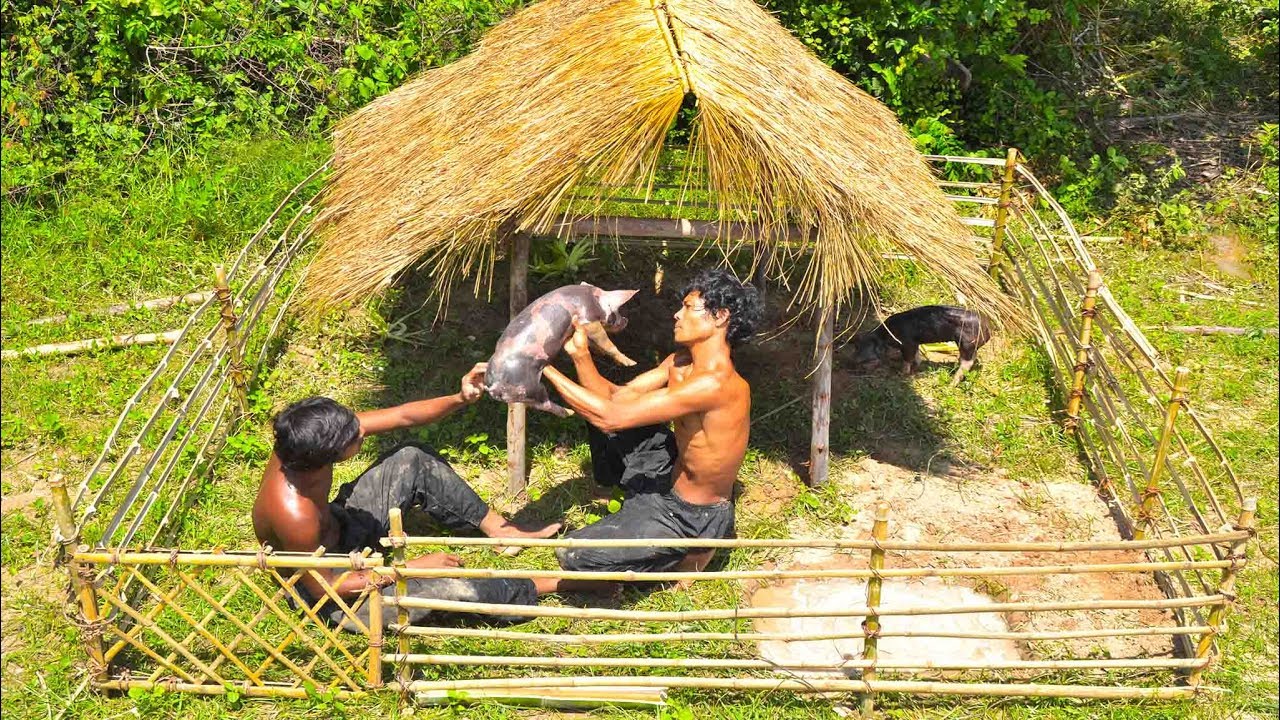 Saving a wild pig from a trap and giving it a hand built mud home