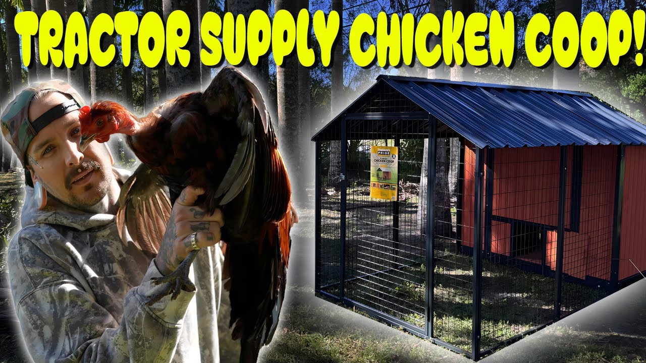 Tractor Supply Chicken Coop: Assembly and First Impressions