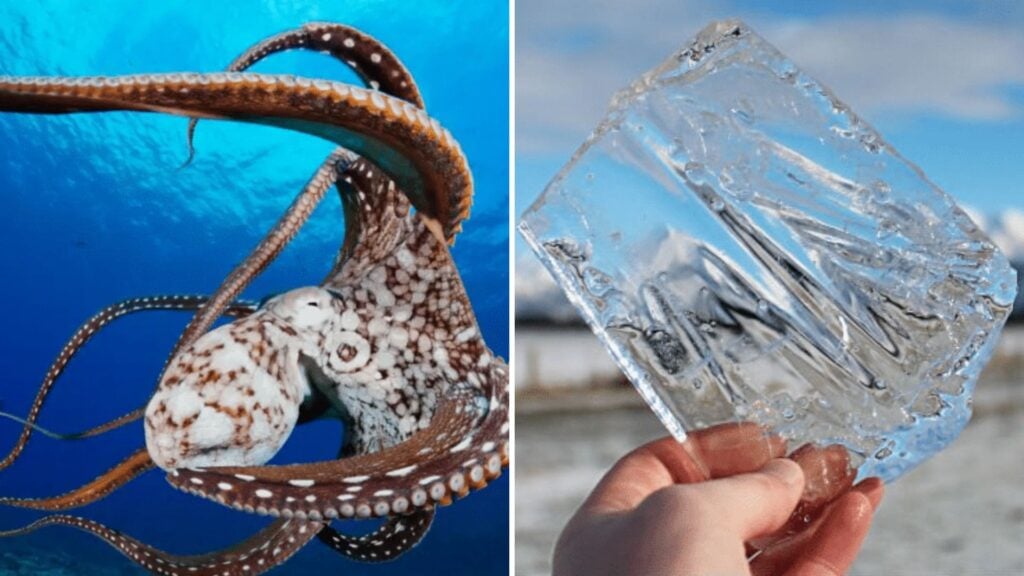 21 Fascinating Facts From the World of Science